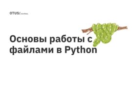 Основы работы с файлами в Python OTUS