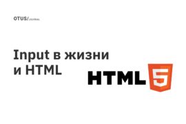 Input в жизни и HTML OTUS