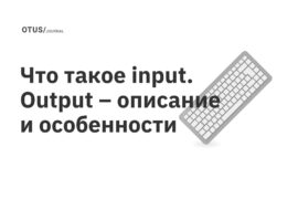 Что такое input. Output – описание и особенности OTUS