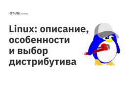 Linux: описание, особенности и выбор дистрибутива OTUS