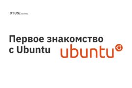 Первое знакомство с Ubuntu OTUS